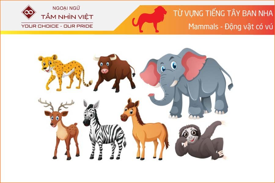 Tên các loài động vật có vú tiếng TBN2 | TT TẦM NHÌN VIỆT